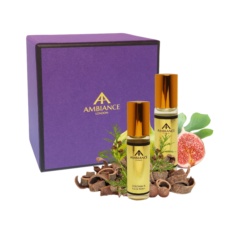 Build Your 2-Piece Travel Fragrance Set | Scent Pairing Set - AMBIANCE ...